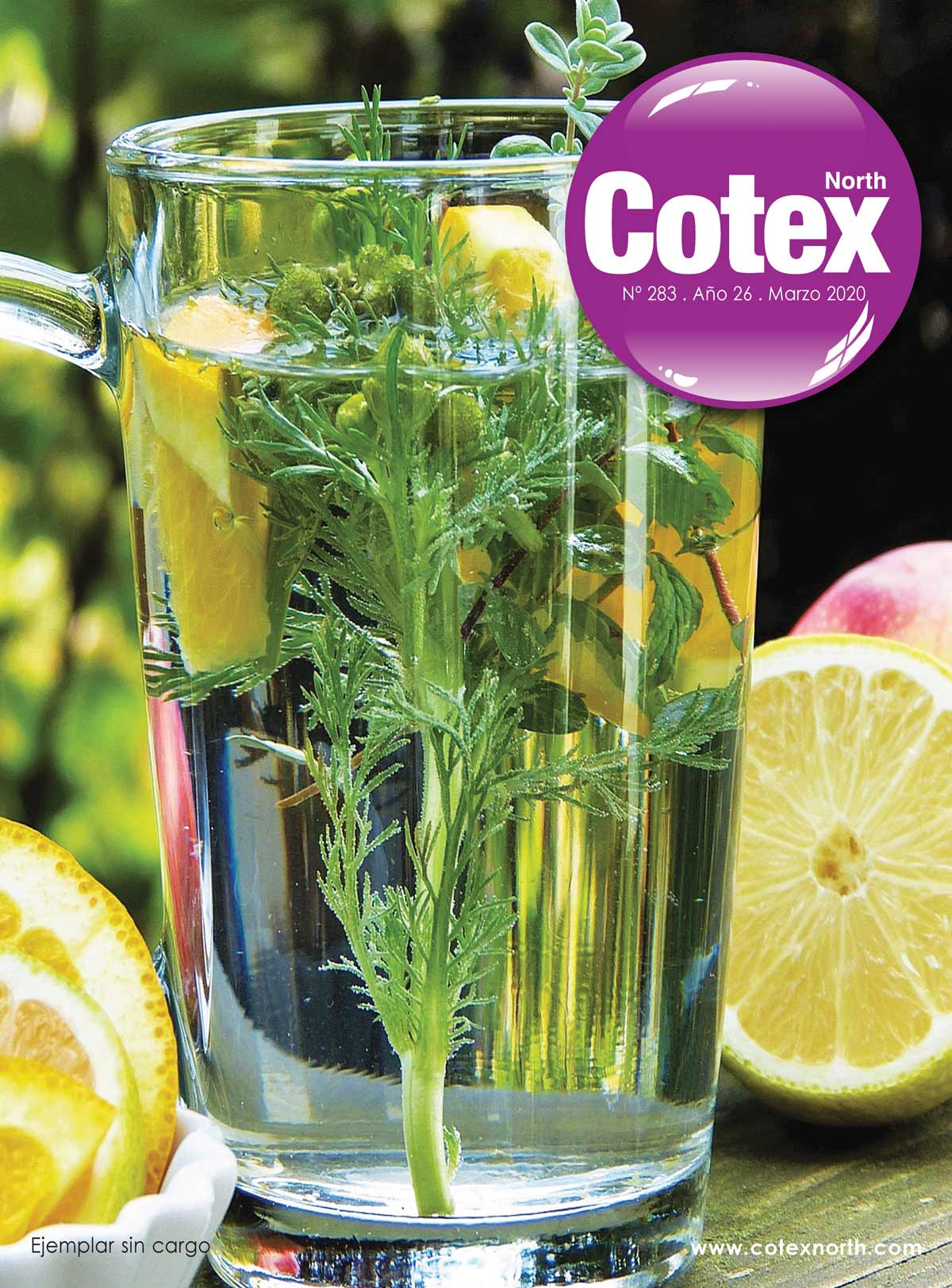 .:COTEX - Ediciones Anteriores:.